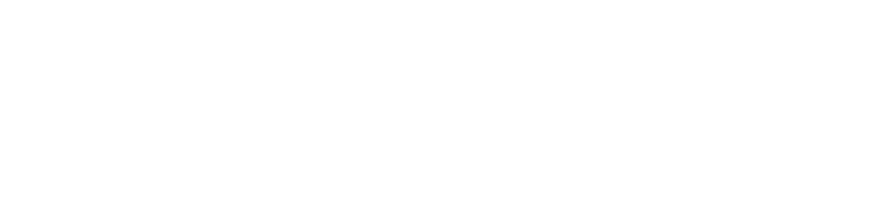 Radical Motorsport | Racing | Track Day | Road and Race Cars